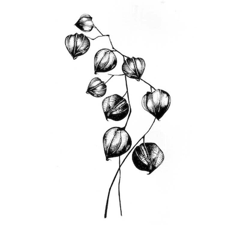 Lavinia Stamps - Chinese Lantern | Papercraft Palace